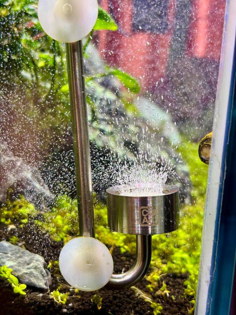 Guide to CO2 diffuser cleaning