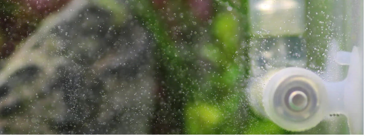 How much CO2 should I inject into aquarium?